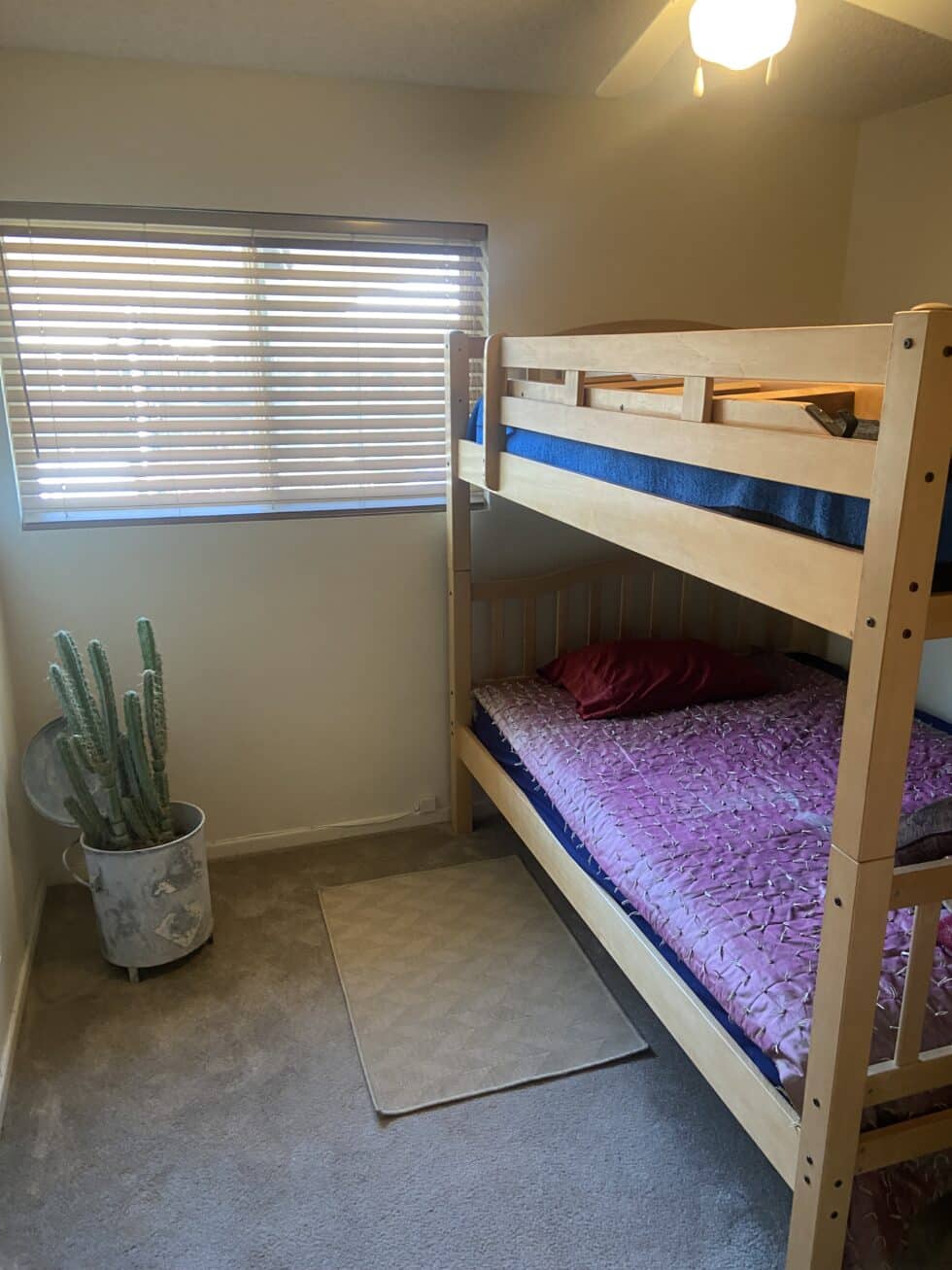 HomeShare Listings - Elderhelp